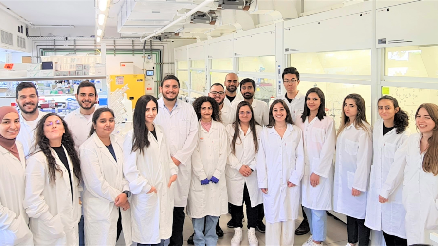 Could a Living Implant End Daily Insulin Injections? - Technion